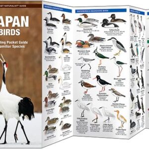 Japan Birds: A Folding Pocket Guide to Familiar Species (Nature Observation International)