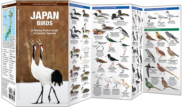 Japan Birds: A Folding Pocket Guide to Familiar Species (Nature Observation International)