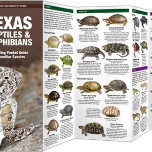 Texas Reptiles & Amphibians: A Folding Pocket Guide to Familiar Species (Nature Observation North America)