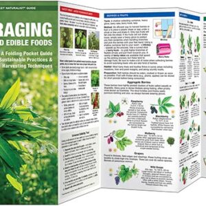 Foraging for Wild Edible Foods: A Folding Pocket Guide to Sustainable Practices & Harvesting Techniques (Outdoor Recreation and Survival)