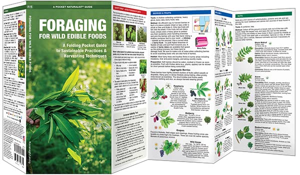 Foraging for Wild Edible Foods: A Folding Pocket Guide to Sustainable Practices & Harvesting Techniques (Outdoor Recreation and Survival)