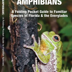 Florida Reptiles & Amphibians: A Folding Pocket Guide to Familiar Species of Florida & the Everglades (Nature Observation North America)