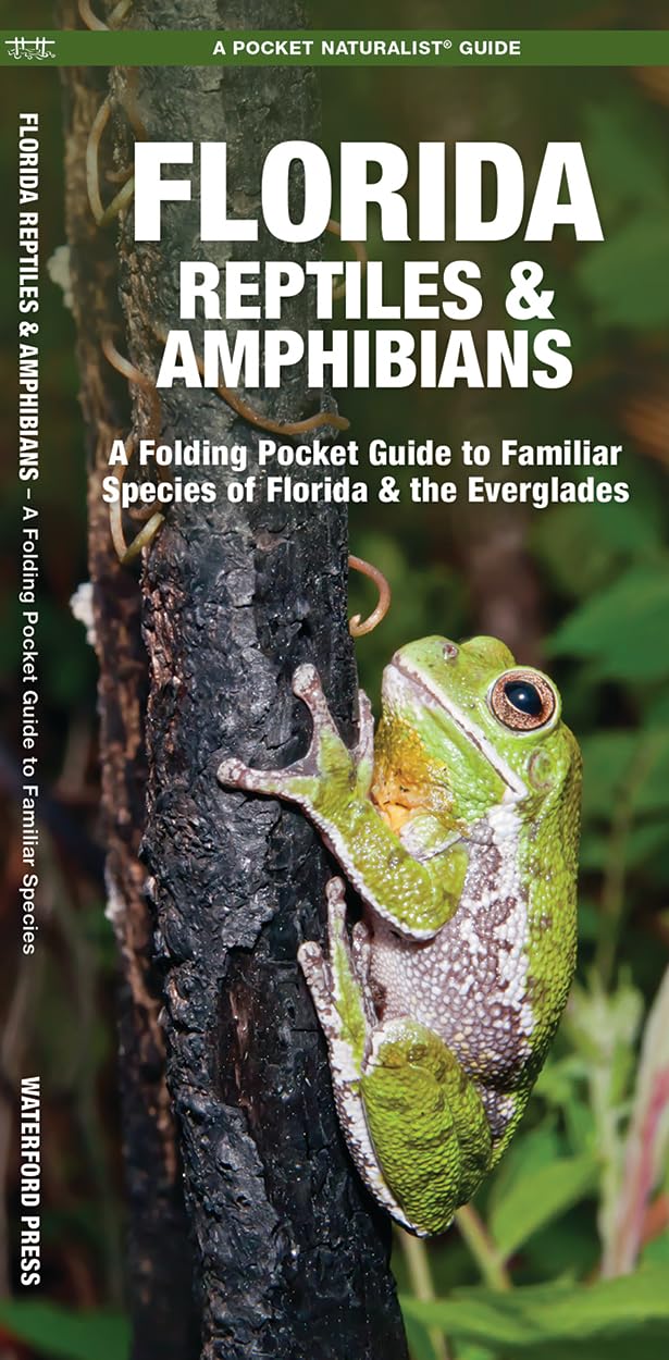 Florida Reptiles & Amphibians: A Folding Pocket Guide to Familiar Species of Florida & the Everglades (Nature Observation North America)