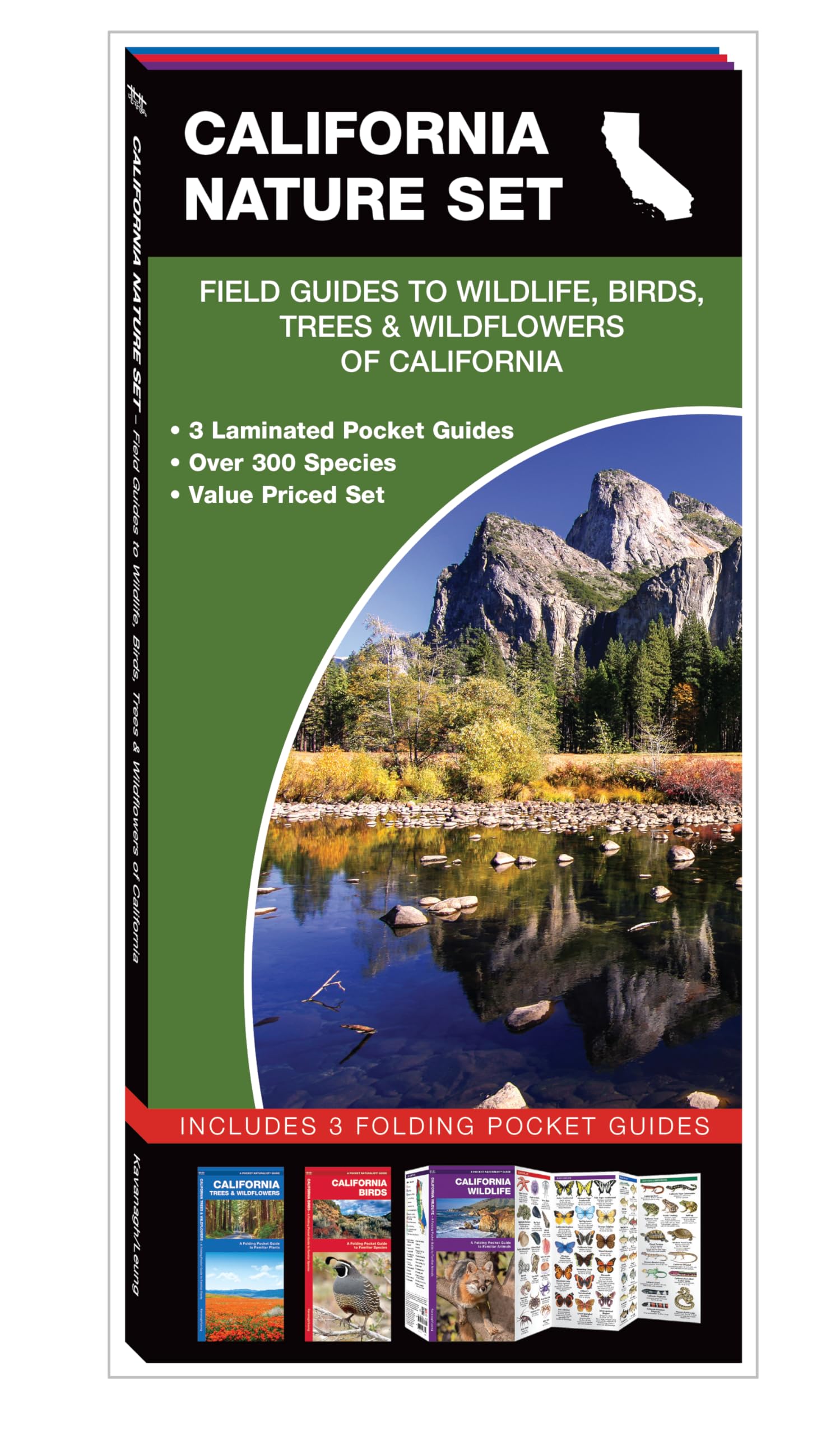 California Nature Set: Field Guides to Wildlife, Birds, Trees & Wildflowers of California (Nature Observation North America)