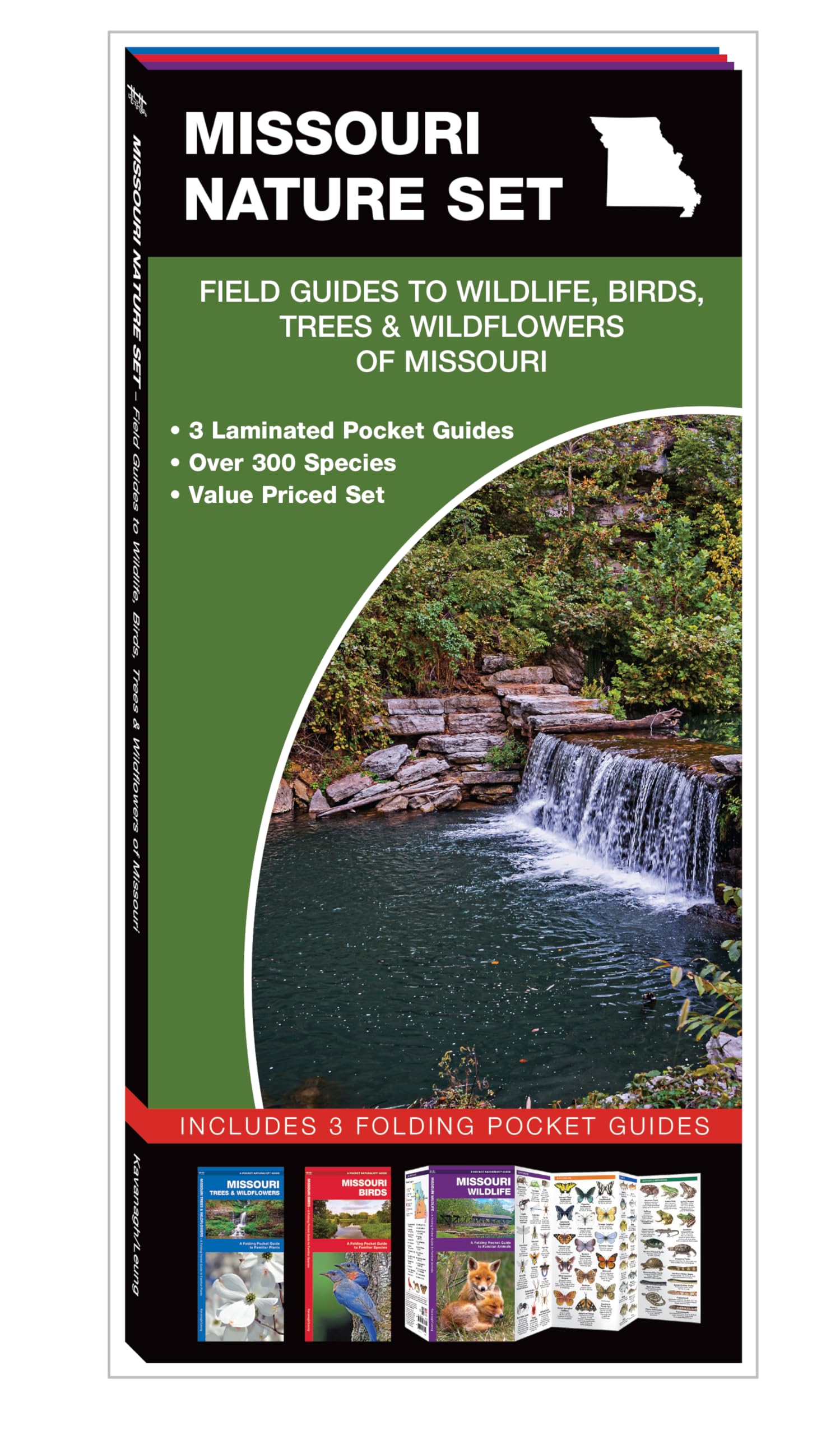 Missouri Nature Set: Field Guides to Wildlife, Birds, Trees & Wildflowers of Missouri (Nature Observation North America)