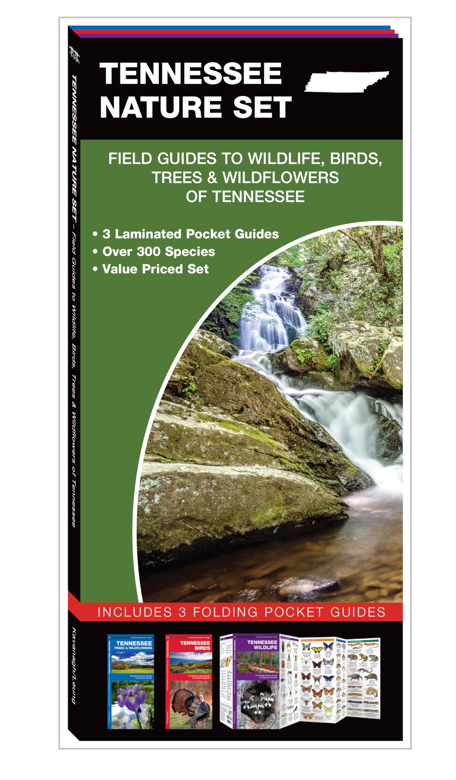 Tennessee Nature Set: Field Guides to Wildlife, Birds, Trees & Wildflowers of Tennessee (Nature Observation North America)