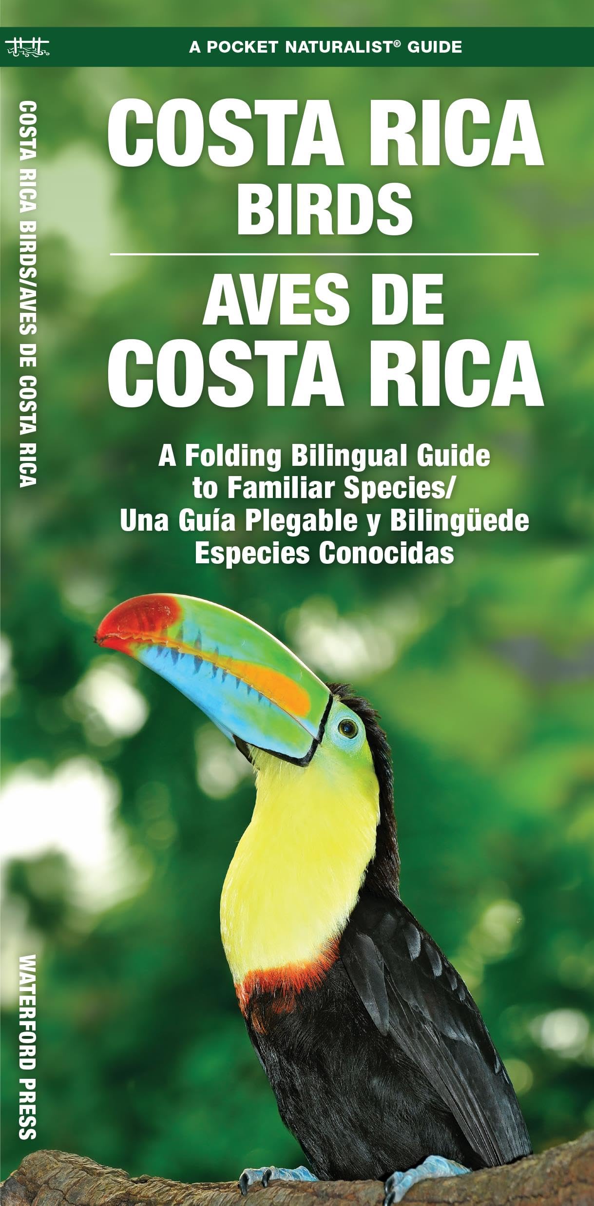 Costa Rica Birds / Aves de Costa Rica: A Folding Pocket Guide to Familiar Species / Una Guía Plegable Portátil de Especies Conocidas (Nature Observation International)