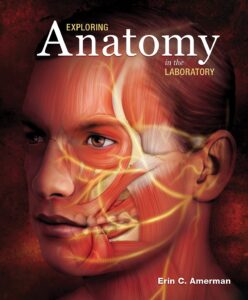 exploring anatomy in the laboratory