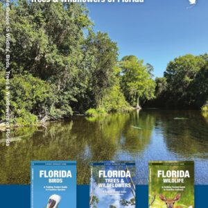 Florida Nature Set: Field Guides to Wildlife, Birds, Trees & Wildflowers of Florida (Nature Observation North America)