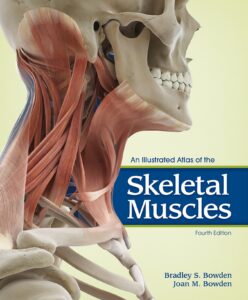 an illustrated atlas of the skeletal muscles