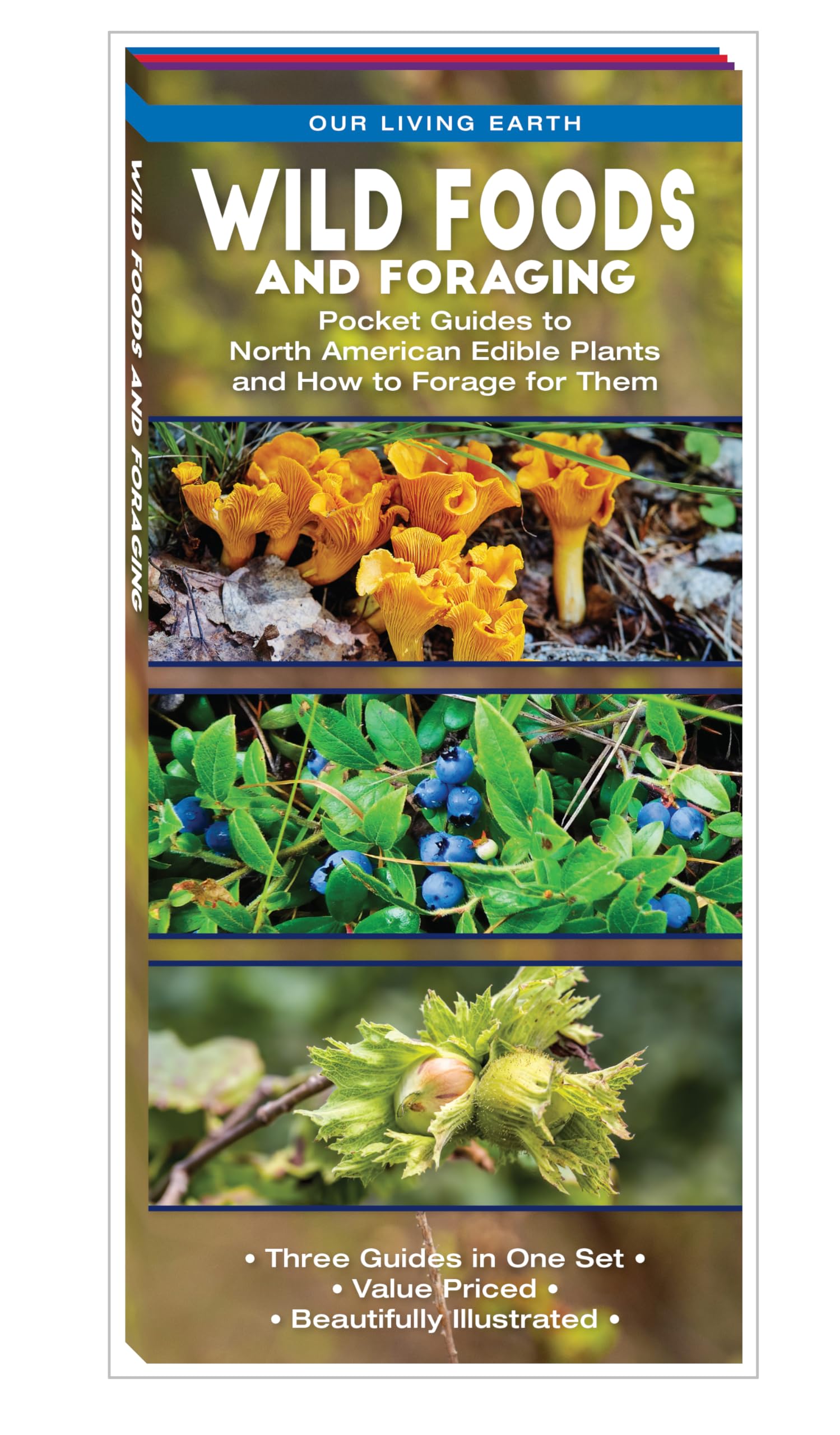 Wild Foods and Foraging: Pocket Guides to North American Edible Plants and How to Forage for Them (Nature Observation North America)