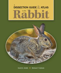 a dissection guide & atlas to the rabbit