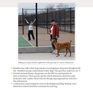 Canine Good Citizen: The Official AKC Guide, 2nd Edition: Ten Essential Skills Every Well-Mannered Dog Should Know (CompanionHouse) How to Train, Practice, and Pass the American Kennel Club's CGC Test