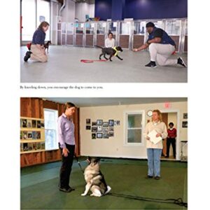 Canine Good Citizen: The Official AKC Guide, 2nd Edition: Ten Essential Skills Every Well-Mannered Dog Should Know (CompanionHouse) How to Train, Practice, and Pass the American Kennel Club's CGC Test