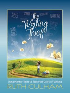 writing thief