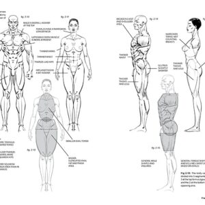 Framed Perspective Vol. 2: Technical Drawing for Shadows, Volume, and Characters