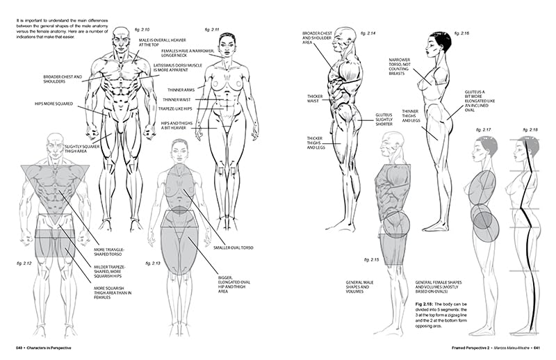 Framed Perspective Vol. 2: Technical Drawing for Shadows, Volume, and Characters