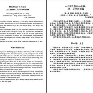 CCB (Simplified Script), NIV, Chinese/English Bilingual Bible, Hardcover, Black/Gold (Chinese Edition)