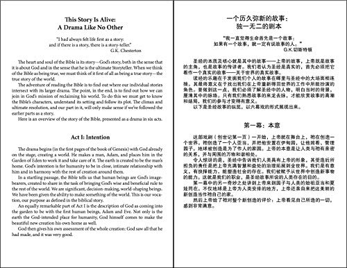 CCB (Simplified Script), NIV, Chinese/English Bilingual Bible, Hardcover, Black/Gold (Chinese Edition)