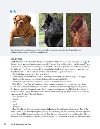 The New Complete Dog Book, 22nd Edition: Official Breed Standards and Profiles for Over 200 Breeds (CompanionHouse Books) American Kennel Club's Bible of Dogs: 920 Pages, 7 Variety Groups, 800 Photos