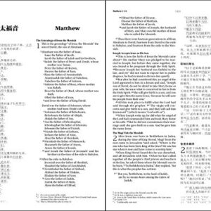 CCB (Simplified Script), NIV, Chinese/English Bilingual Bible, Hardcover, Black/Gold (Chinese Edition)