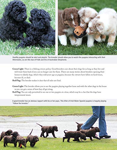 The New Complete Dog Book, 22nd Edition: Official Breed Standards and Profiles for Over 200 Breeds (CompanionHouse Books) American Kennel Club's Bible of Dogs: 920 Pages, 7 Variety Groups, 800 Photos