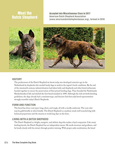 The New Complete Dog Book, 22nd Edition: Official Breed Standards and Profiles for Over 200 Breeds (CompanionHouse Books) American Kennel Club's Bible of Dogs: 920 Pages, 7 Variety Groups, 800 Photos