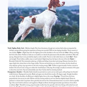 The New Complete Dog Book, 22nd Edition: Official Breed Standards and Profiles for Over 200 Breeds (CompanionHouse Books) American Kennel Club's Bible of Dogs: 920 Pages, 7 Variety Groups, 800 Photos