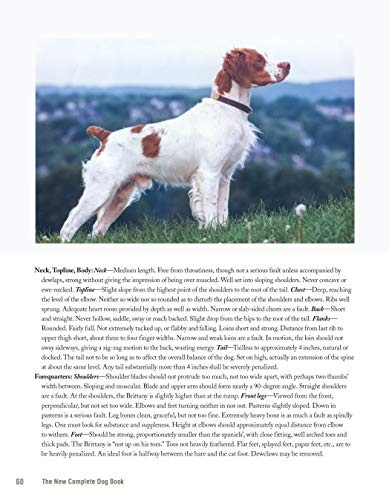 The New Complete Dog Book, 22nd Edition: Official Breed Standards and Profiles for Over 200 Breeds (CompanionHouse Books) American Kennel Club's Bible of Dogs: 920 Pages, 7 Variety Groups, 800 Photos