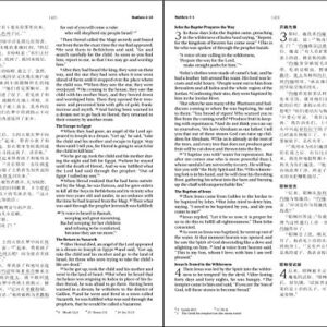 CCB (Simplified Script), NIV, Chinese/English Bilingual Bible, Hardcover, Black/Gold (Chinese Edition)