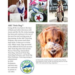 Canine Good Citizen: The Official AKC Guide, 2nd Edition: Ten Essential Skills Every Well-Mannered Dog Should Know (CompanionHouse) How to Train, Practice, and Pass the American Kennel Club's CGC Test