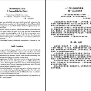 CUV (Simplified Script), NIV, Chinese/English Bilingual New Testament, Paperback, Red (Chinese Edition)