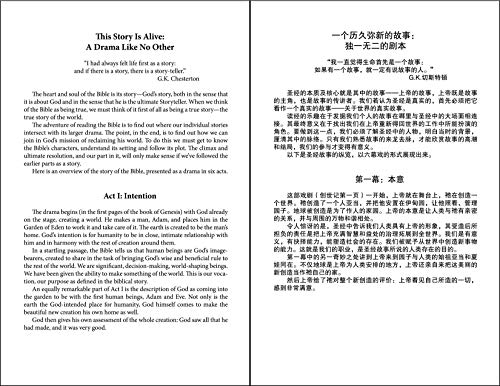 CUV (Simplified Script), NIV, Chinese/English Bilingual New Testament, Paperback, Red (Chinese Edition)