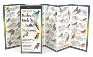 sibley's back. birds of pacific northwest (foldingguides)