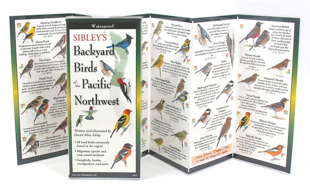 Sibley's Back. Birds of Pacific Northwest (Foldingguides)