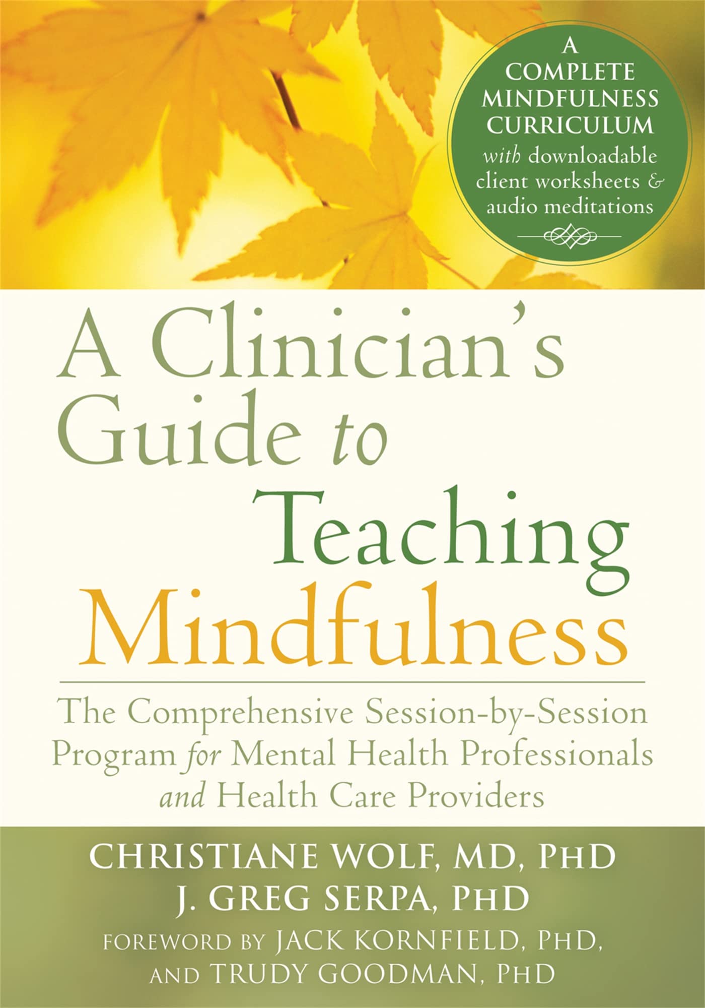 A Clinician's Guide to Teaching Mindfulness: The Comprehensive Session-by-Session Program for Mental Health Professionals and Health Care Providers