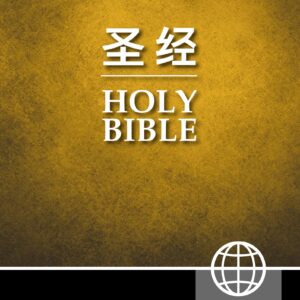 CCB (Simplified Script), NIV, Chinese/English Bilingual Bible, Hardcover, Black/Gold (Chinese Edition)