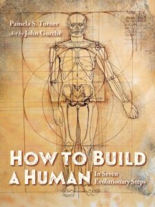 how to build a human: in seven evolutionary steps