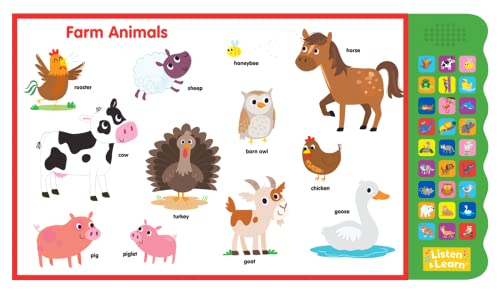 27-Button Sound Book Let's Learn Animals,English