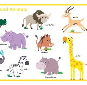 27-Button Sound Book Let's Learn Animals,English