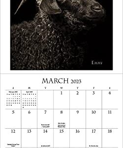 I Am Goat 2023 Wall Calendar: Animal Portrait Photography by Kevin Horan and Wisdom From Nature's Philosophers | 12" x 24" Open | Amber Lotus Publishing