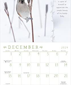 Becorns 2024 Wall Calendar: Forest Folk by David M Bird | 12" x 24" Open | Amber Lotus Publishing