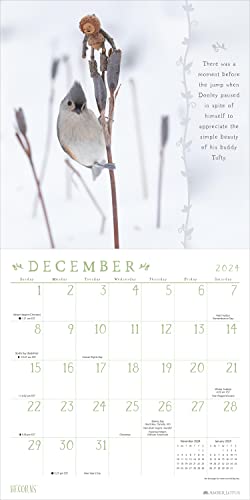 Becorns 2024 Wall Calendar: Forest Folk by David M Bird | 12" x 24" Open | Amber Lotus Publishing