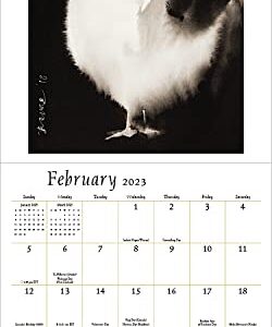 The Artful Chicken 2023 Wall Calendar: Brush & Ink Watercolor Paintings