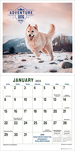 Adventure Dogs 2023 Wall Calendar: Hiking, Camping, and Traveling with Courageous Canines | 12" x 24" Open | Amber Lotus Publishing