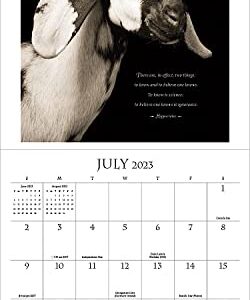 I Am Goat 2023 Wall Calendar: Animal Portrait Photography by Kevin Horan and Wisdom From Nature's Philosophers | 12" x 24" Open | Amber Lotus Publishing