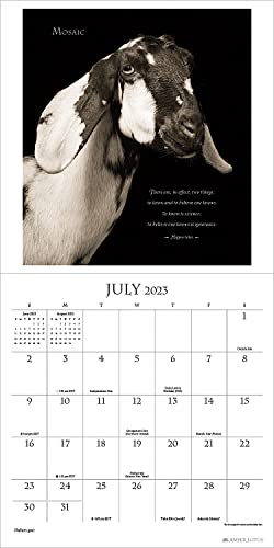 I Am Goat 2023 Wall Calendar: Animal Portrait Photography by Kevin Horan and Wisdom From Nature's Philosophers | 12" x 24" Open | Amber Lotus Publishing