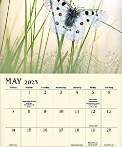 Meditation 2023 Wall Calendar | 12" x 24" Open | Amber Lotus Publishing