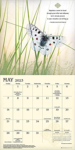 Meditation 2023 Wall Calendar | 12" x 24" Open | Amber Lotus Publishing