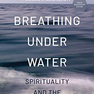 Breathing Under Water: Spirituality and the Twelve Steps